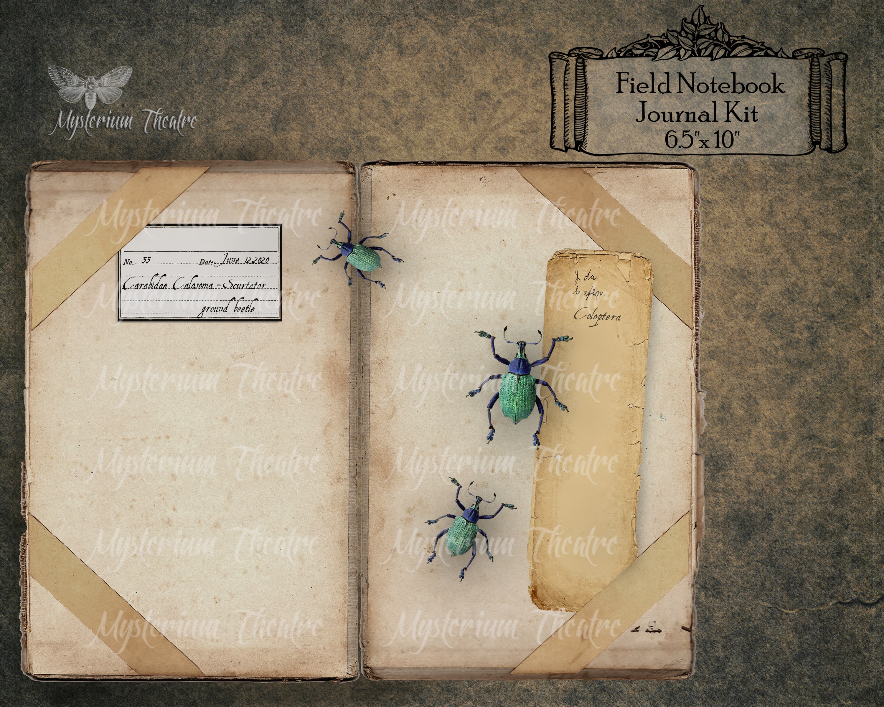 Insects Journal
