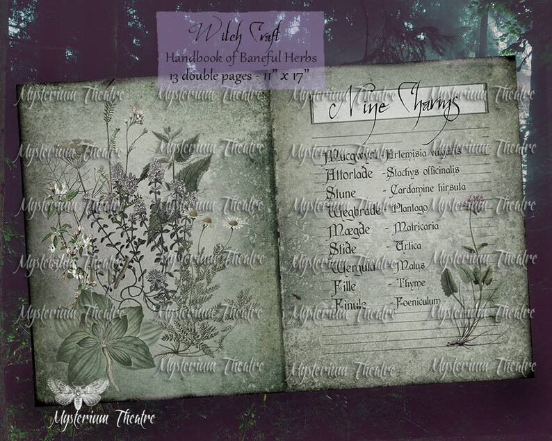 Book of Shadows Baneful Herbs Witchcraft Journal 28 Pages - Etsy