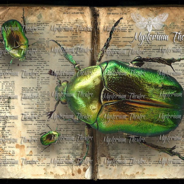 Steampunk Writing Paper - Etsy