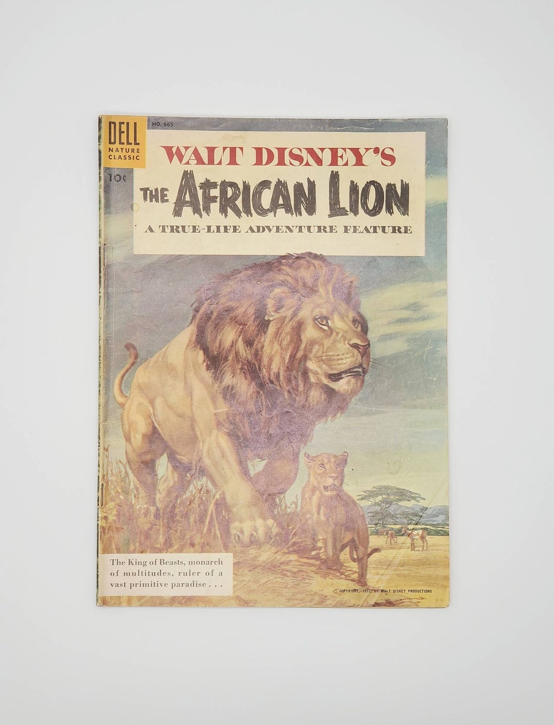 Vintage Walt Disney's A True Life Adventure "the African Lion" Book ...