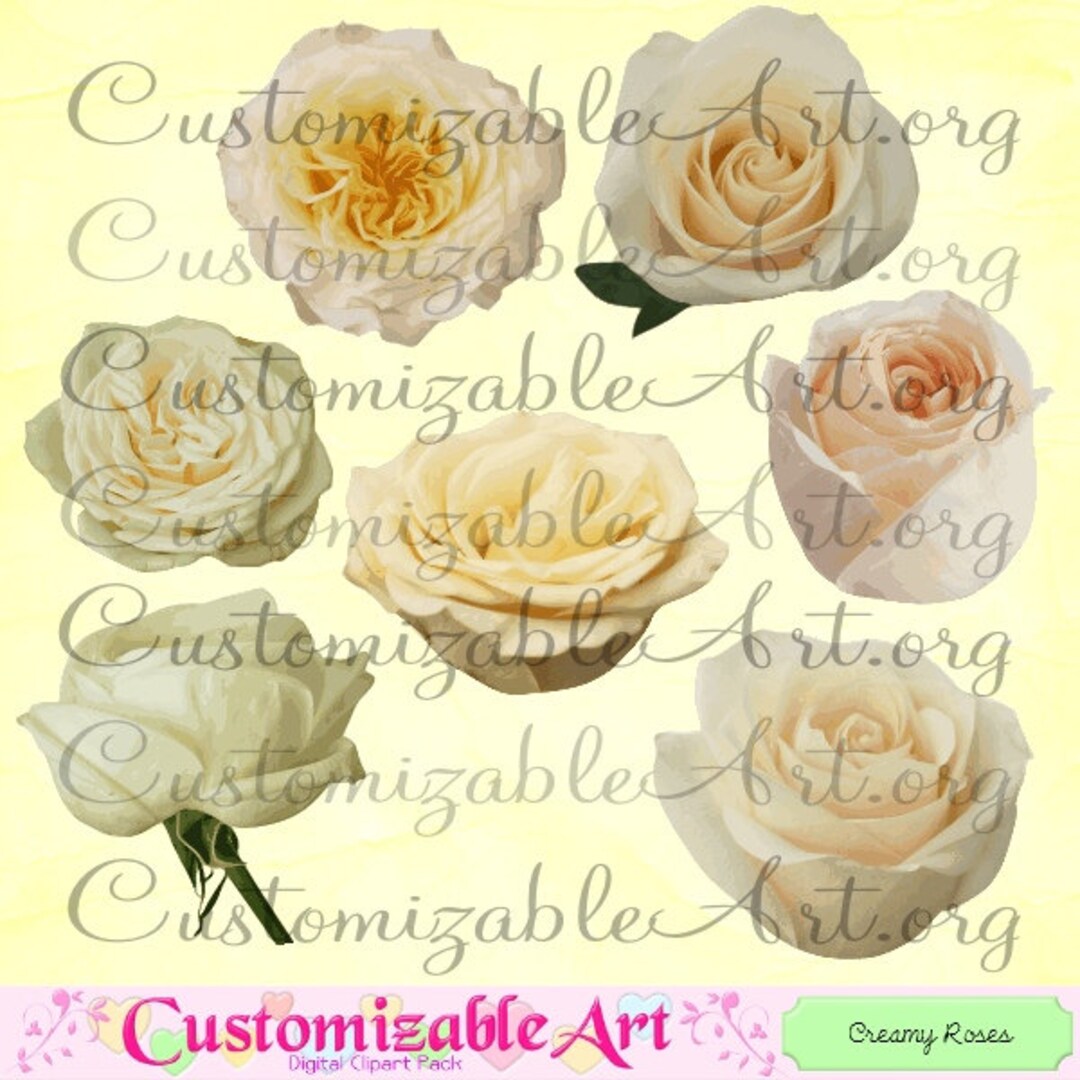 Creamy Rose Clipart Digital White Cream Ivory Light Pink Peach Pale ...