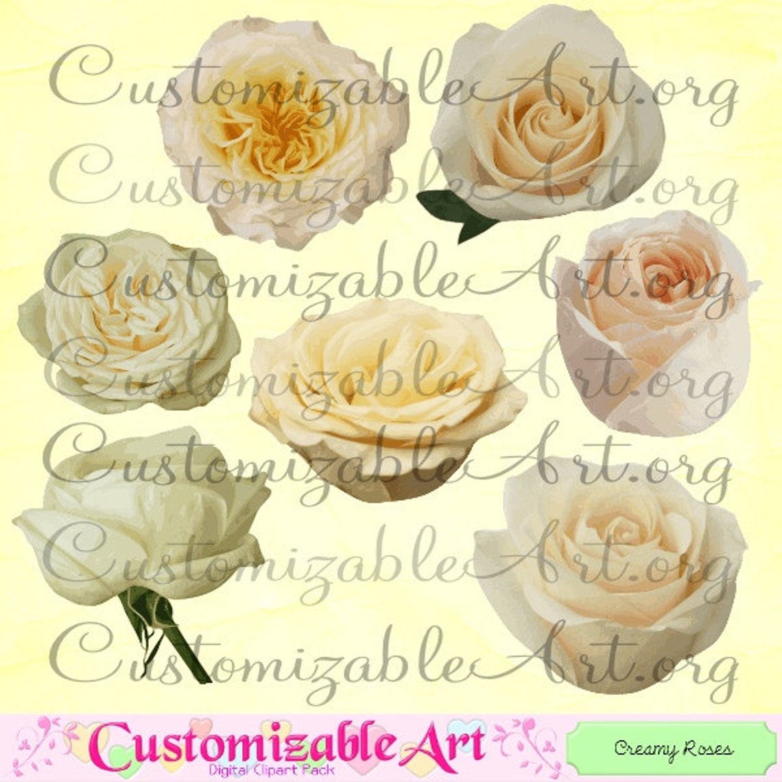 Creamy Rose Clipart Digital White Cream Ivory Light Pink Peach Pale ...