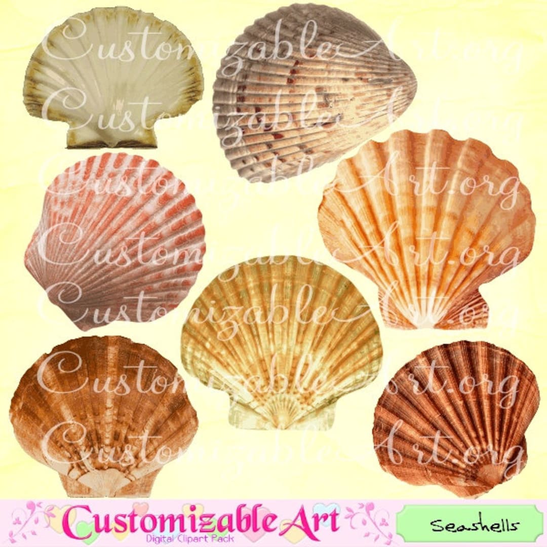Seashell Clipart Digital Seashell Clip Art Images Printable Sea Shell Under the Sea Shells ...