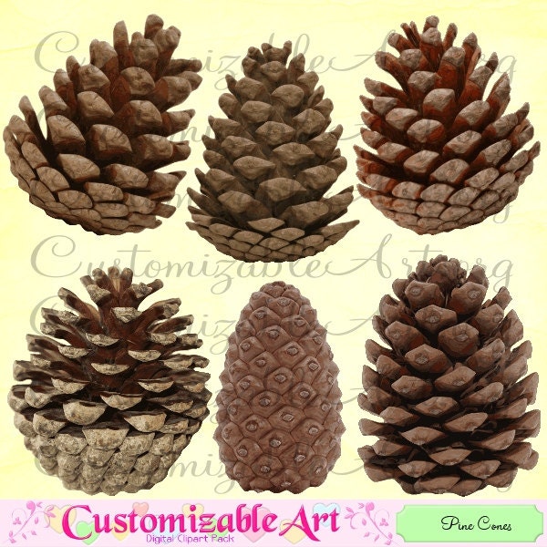 Pine Cone Clipart Digital Pine Cone Clip Art Conifer Cone Woody Cone ...