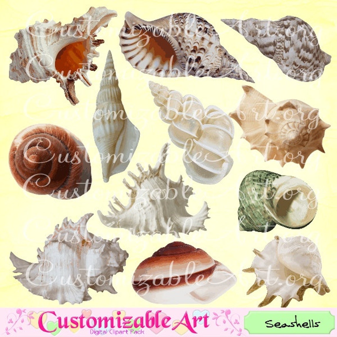 Seashell Clipart Digital Seashell Clip Art Images Printable Sea Shell ...