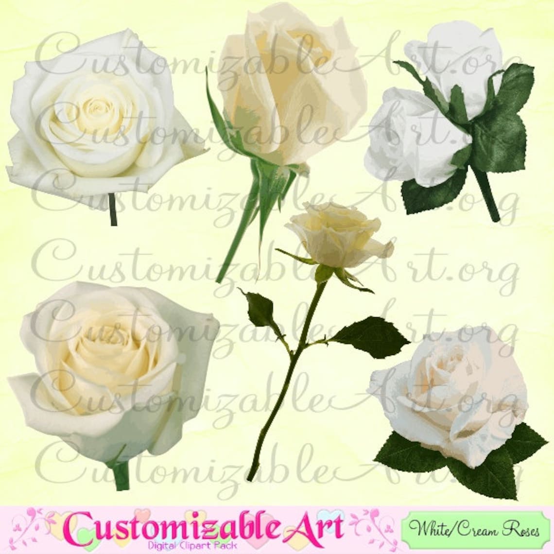 White Rose Clipart Digital White Roses Clip Art Bridal Flower Clipart ...