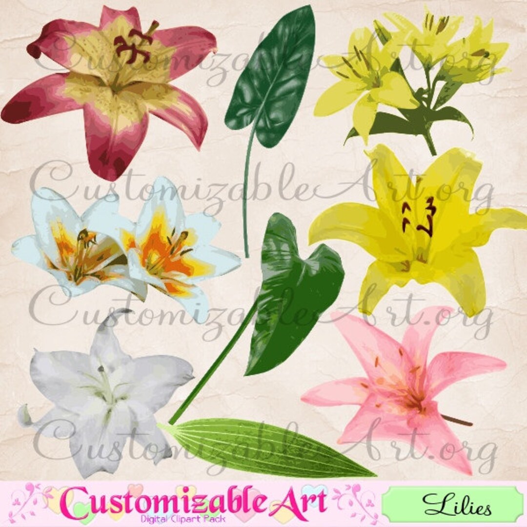 Lily Clipart Digital Lilies Clip Art Lily Flower Clipart Lily Leaf ...