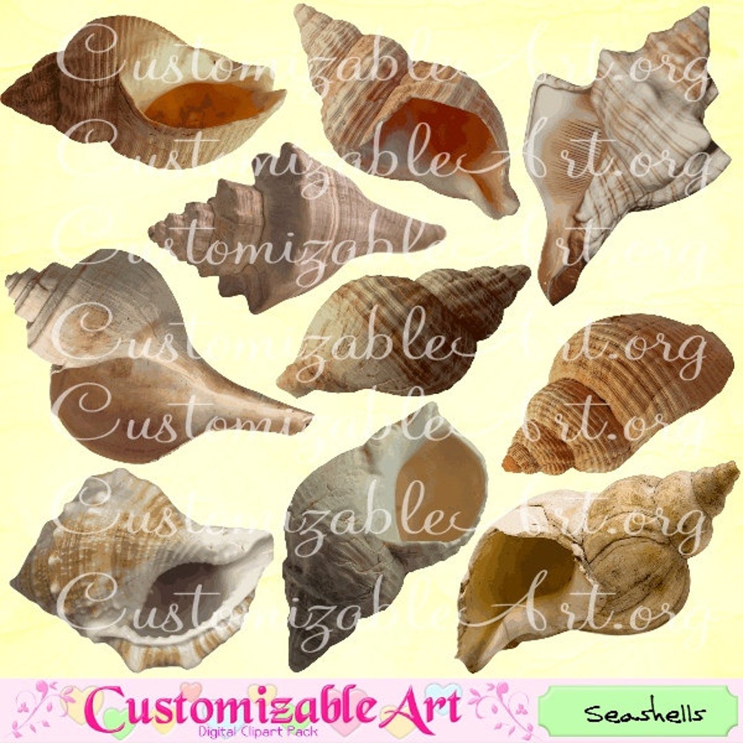 Seashell Clipart Digital Seashell Clip Art Images Printable Sea Shell ...