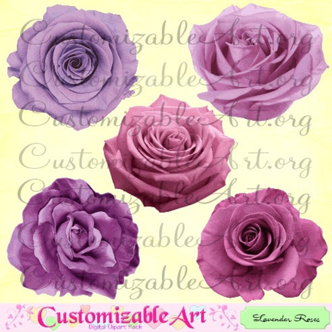 Rose Clipart Digital Roses Clip Art Lavender Purple Rose Pale Light ...