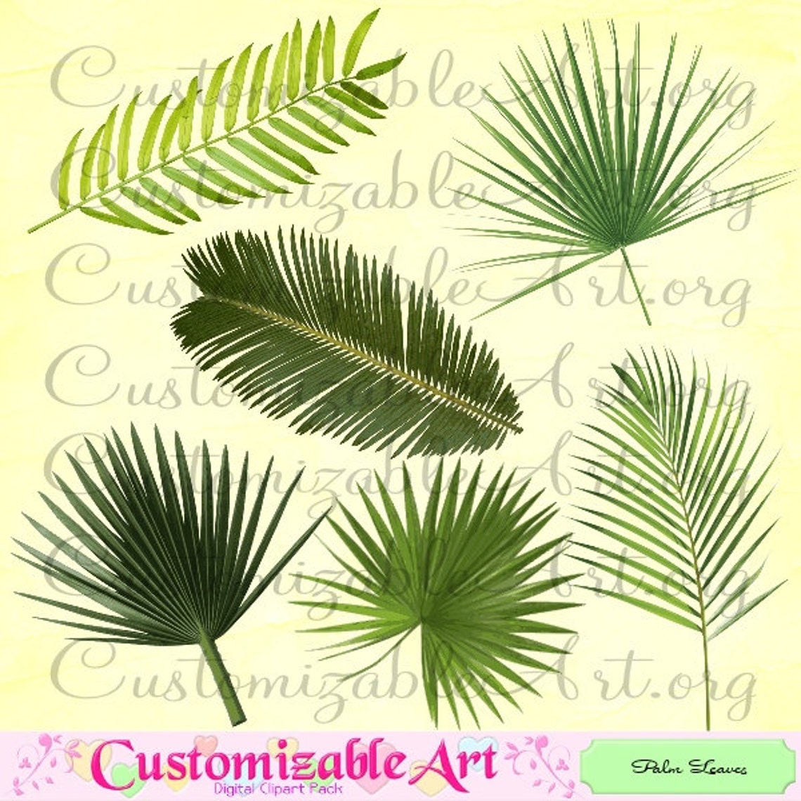 Palm Tree Leaves Clipart Digital Palm Tree Leaf Clip Art Green Fan Palm ...