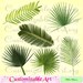 Palm Tree Leaves Clipart Digital Palm Tree Leaf Clip Art Green