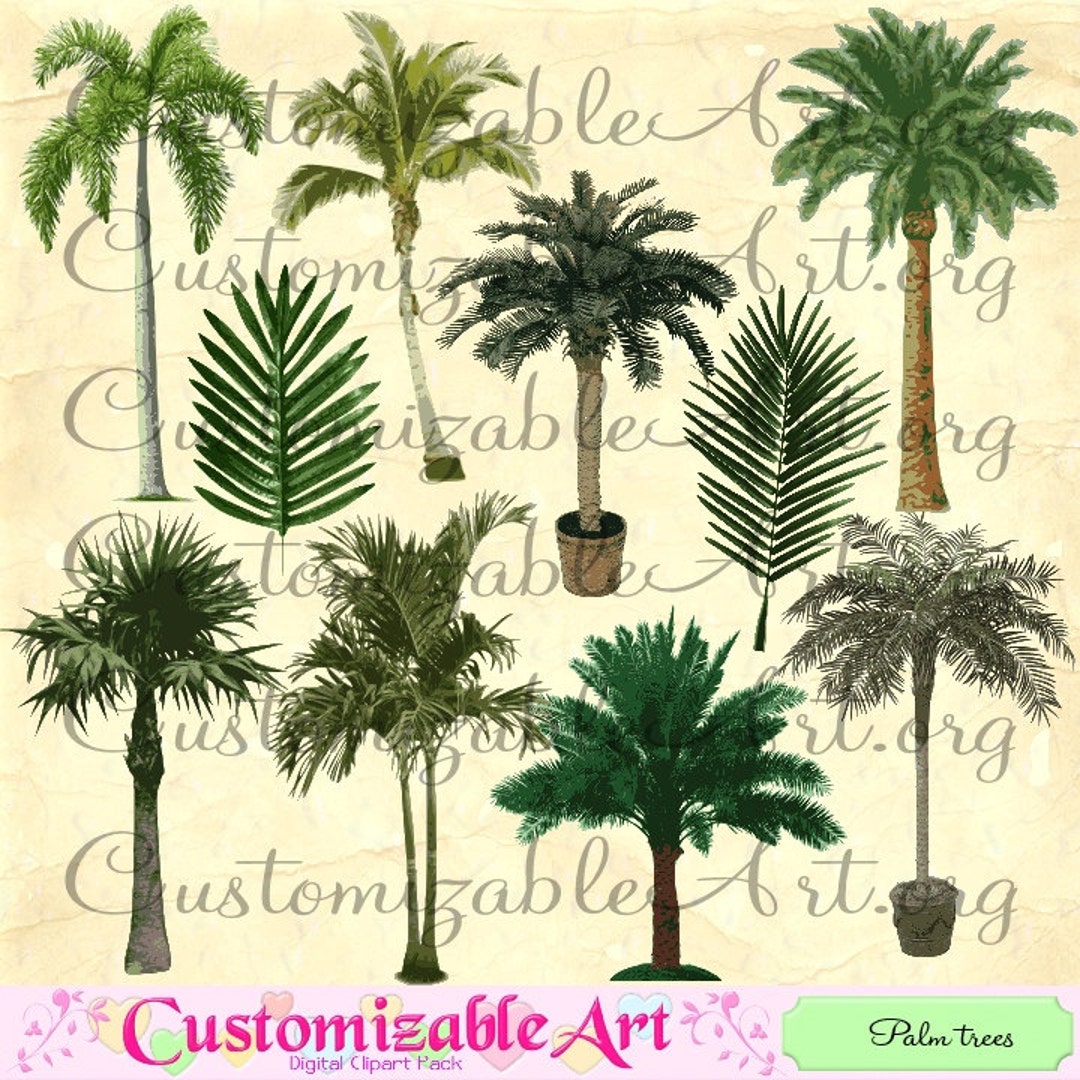 Palm Tree Clipart Digital Palm Tree Clip Art Palm Tree Leaf Leaves Tall ...