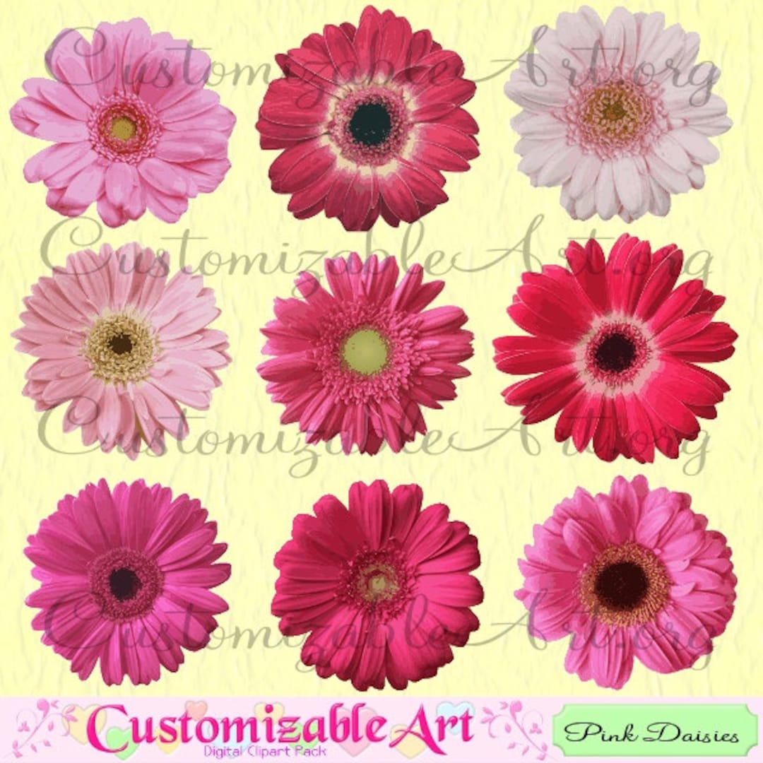Pink Daisy Clipart Digital Pink Daisies Clip Art Pink Flower Hot Bright ...
