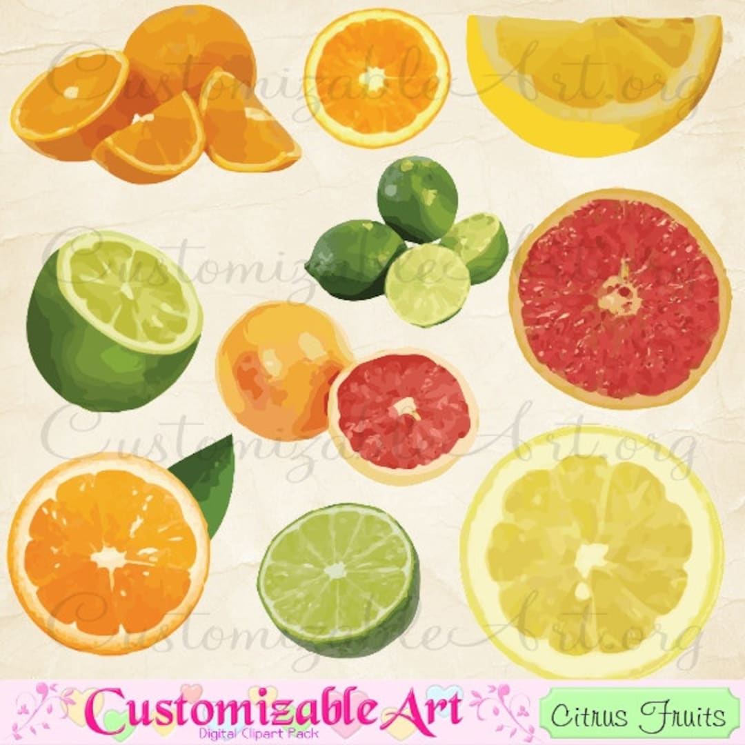 Citrus Fruit Clip Art Digital Fruits Sour Lemon Lime Oranges ...