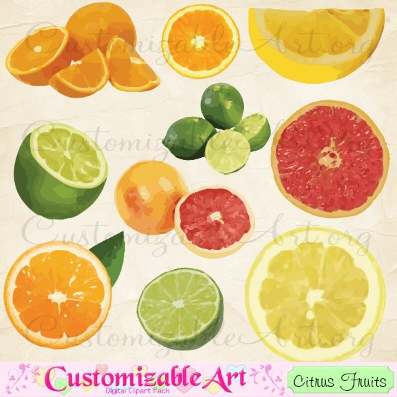 Citrus Fruit Clip Art Digital Fruits Sour Lemon Lime Oranges ...