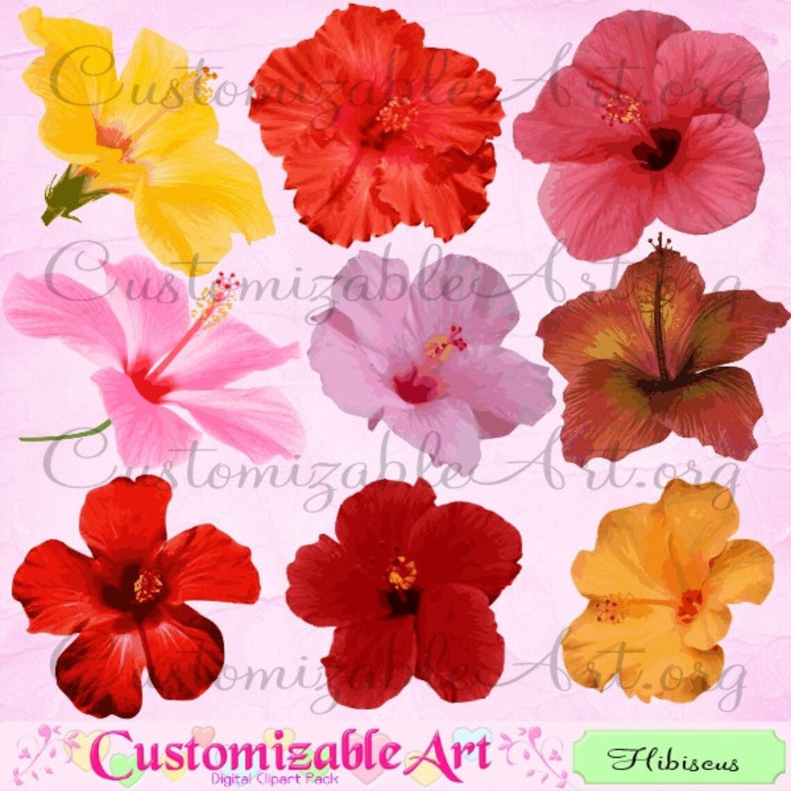 Hibiscus Clipart Digital Hibiscus Flower Clip Art Pink Red Orange ...