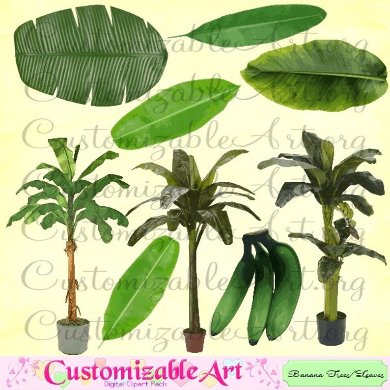 Banana Leaves Clipart Digital Banana Leaves Leaf Clip Art Dark Green ...
