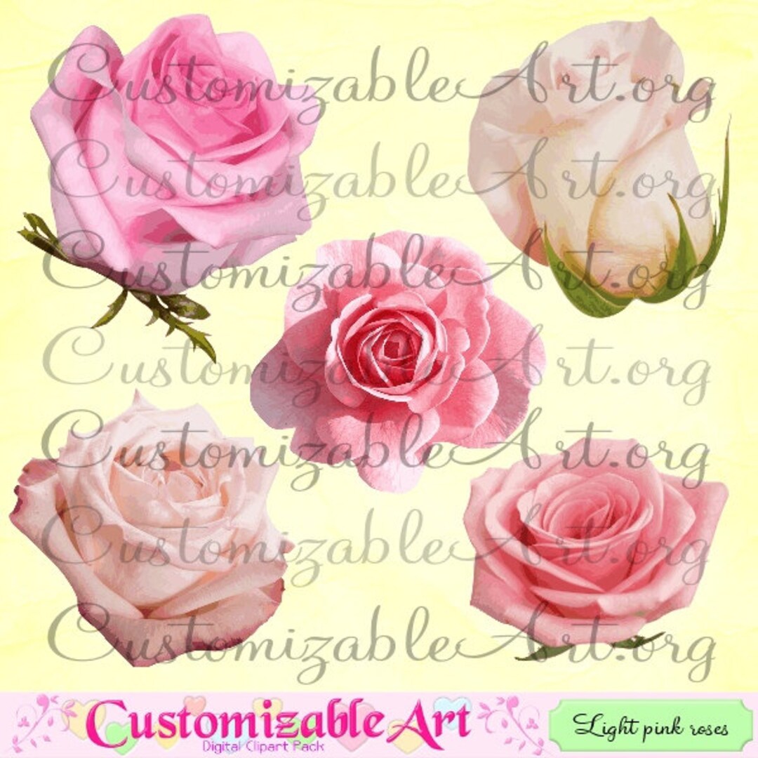 Pink Roses Clipart Light Pink Rose Digital Clip Art Blooming Rose ...