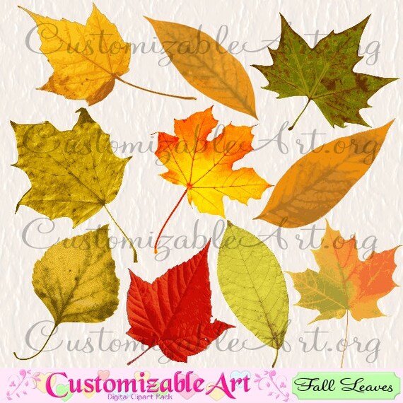 Yellow Leaves Clip Art