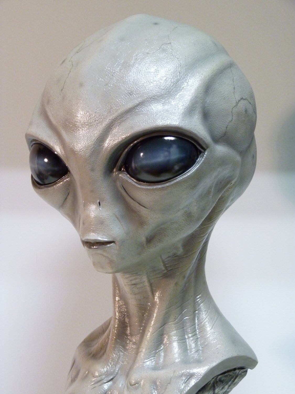Alien Grey Bust Life Size Inspired X Files Science | Etsy