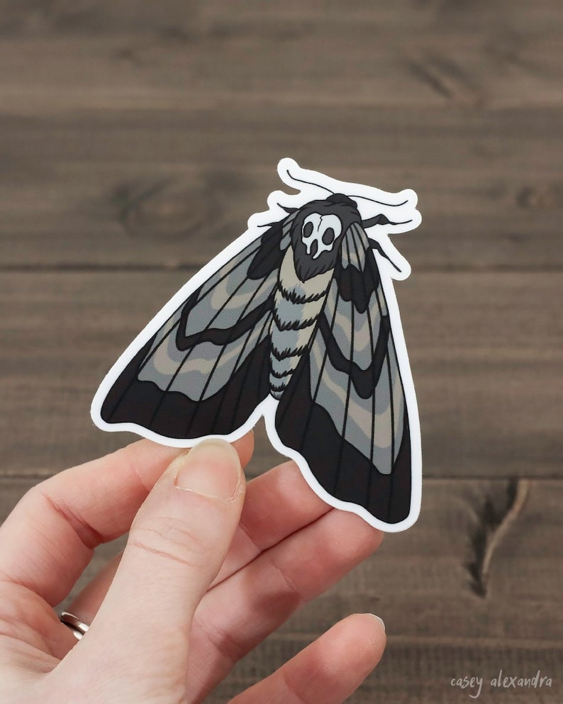 Deaths Head Moth Vinyl Die Cut Sticker Memento Mori Art - Etsy