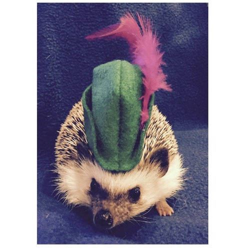 Fez Hat Mini Small Pet Cat Dog Hedgehog Vogue Guinea Pig - Etsy