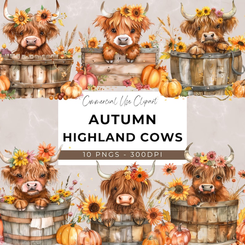 Autumn Highland Cows Clipart - 10 Transparent PNG - Instant Download ...