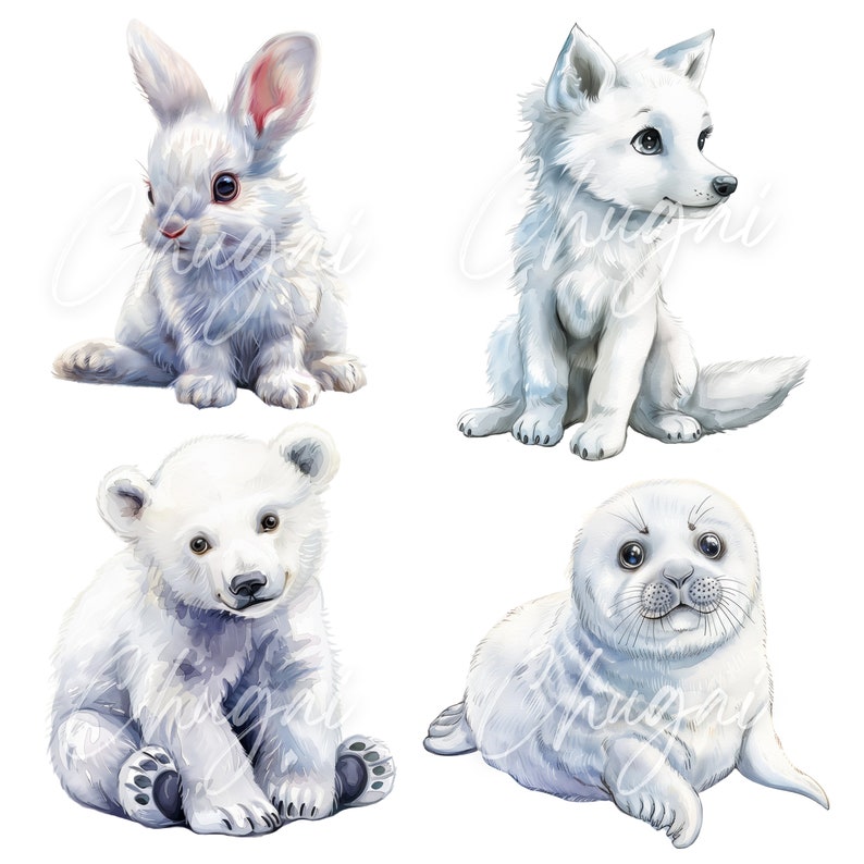 8 PNG Cute Arctic Animal Clipart Digital Download Crafting Design ...