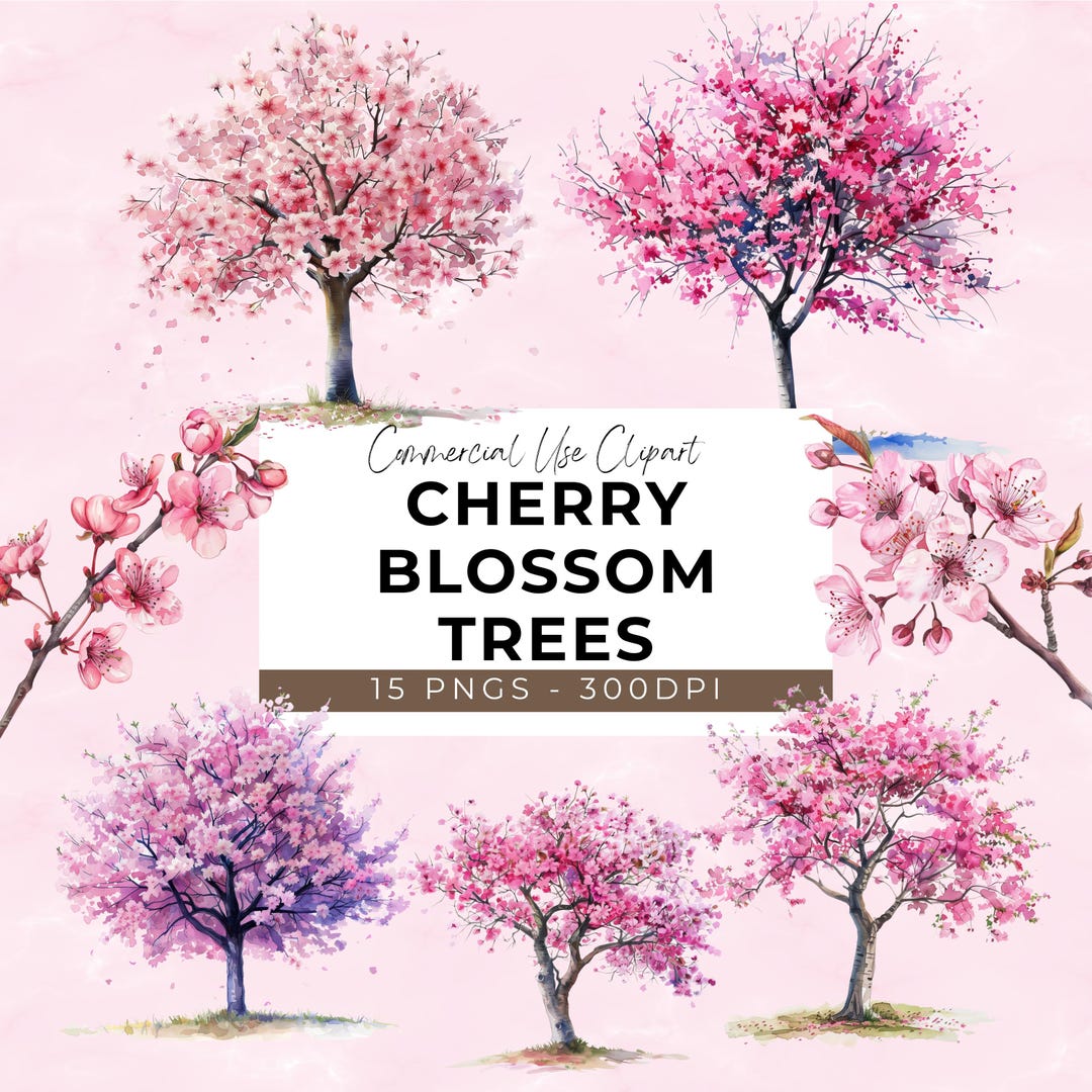Cherry Blossom Clip Art - 15 PNG - Transparent - Instant Download ...