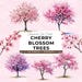 Cherry Blossom Clip Art - 15 PNG - Transparent - Instant Download ...