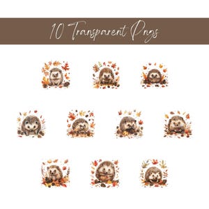 Autumn Hedgehog Clipart - 10 Transparent PNG - Instant Download ...