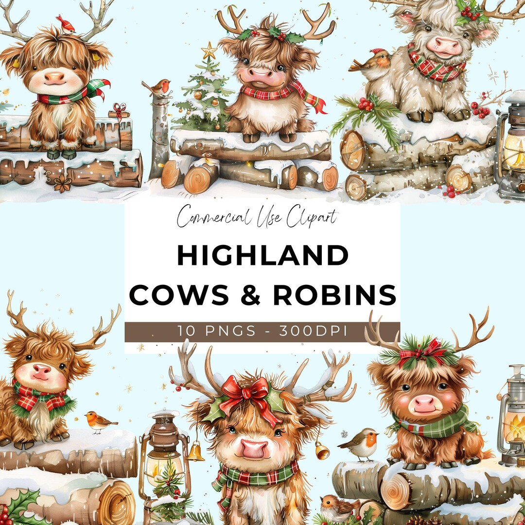 Christmas Baby Highland Cow Clipart - 10 Transparent PNG - Instant ...