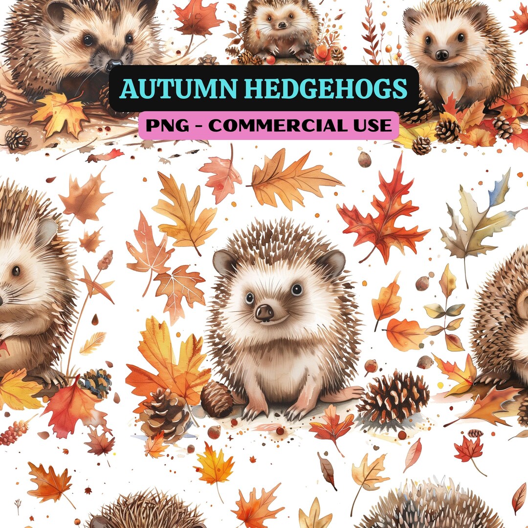 10 PNG Autumn Hedgehog Clipart Digital Download Crafting Design Autumn ...