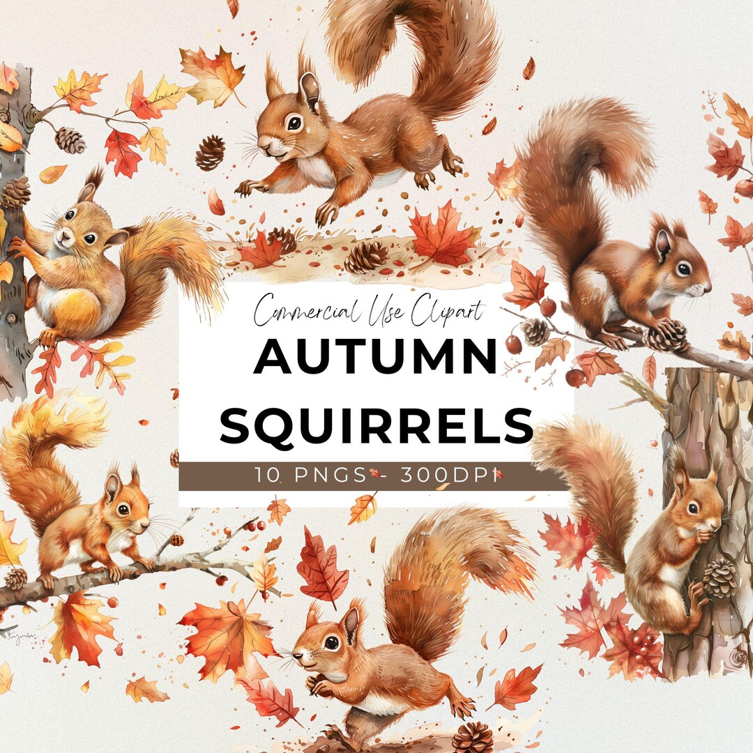 Autumn Squirrels Clipart - 10 Transparent PNG - Cute Autumn Animals ...