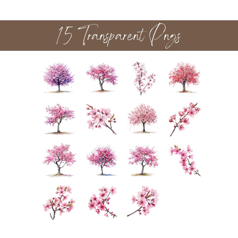 Cherry Blossom Clip Art - 15 PNG - Transparent - Instant Download ...