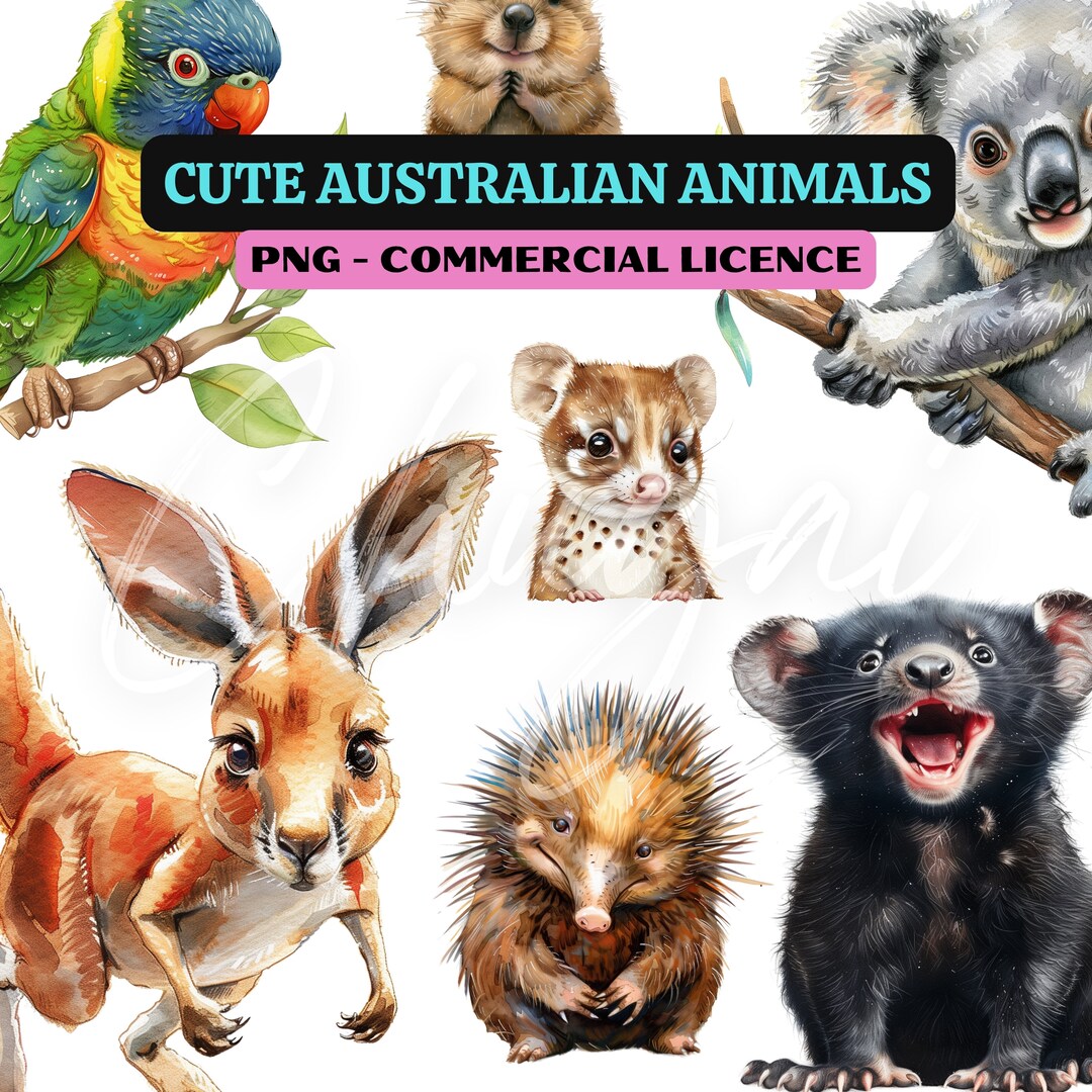 12 PNG Cute Australian Animal Clipart Digital Download Crafting Design ...