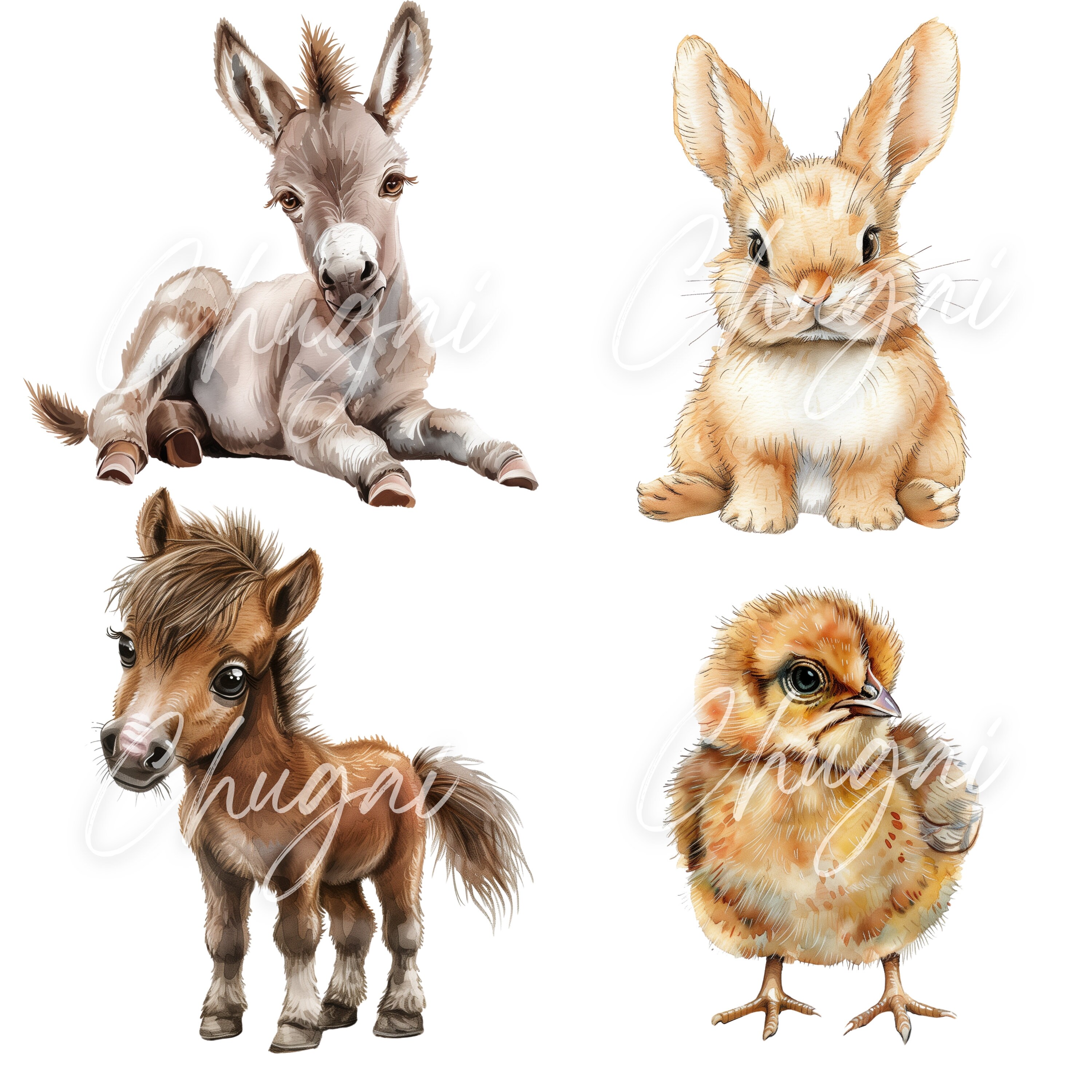 15 PNG Cute Farm Animal Clipart Transparent Digital Download Crafting ...