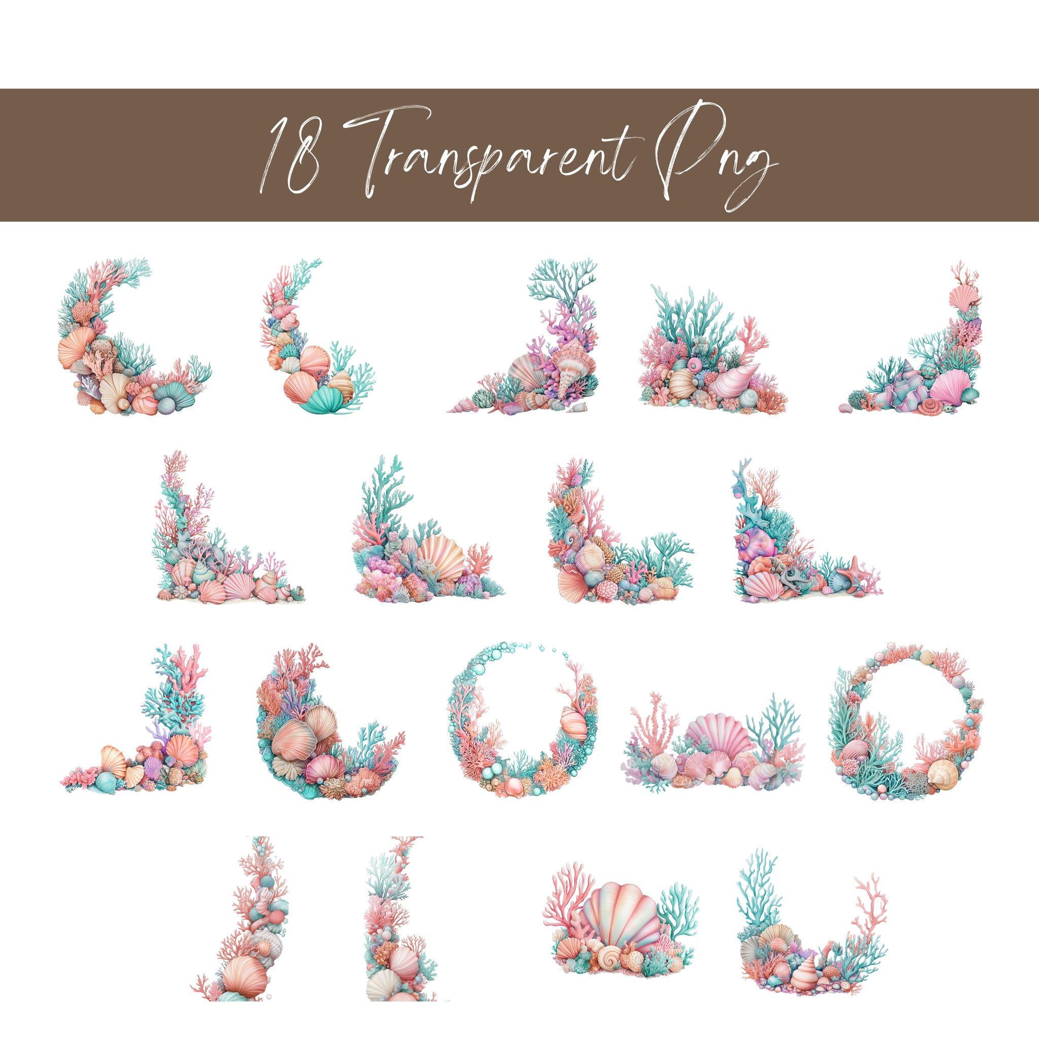 Seashell Border Clipart - 18 Transparent PNG - Instant Download ...