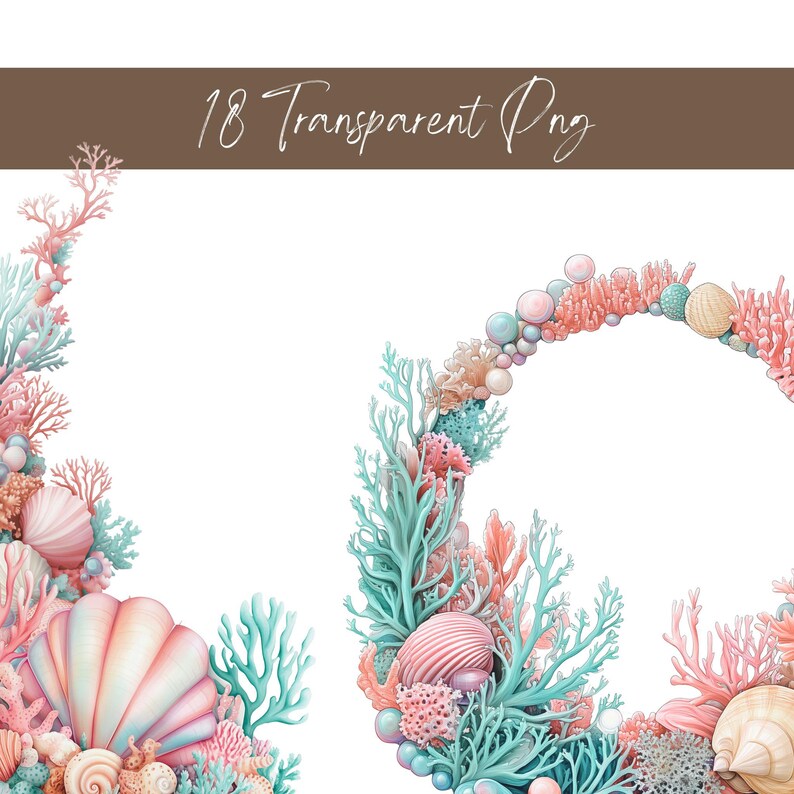 Seashell Border Clipart - 18 Transparent PNG - Instant Download ...