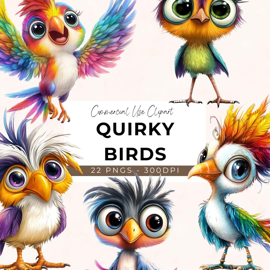 Quirky Bird Clipart - 22 Transparent PNG - Instant Download - Funny ...