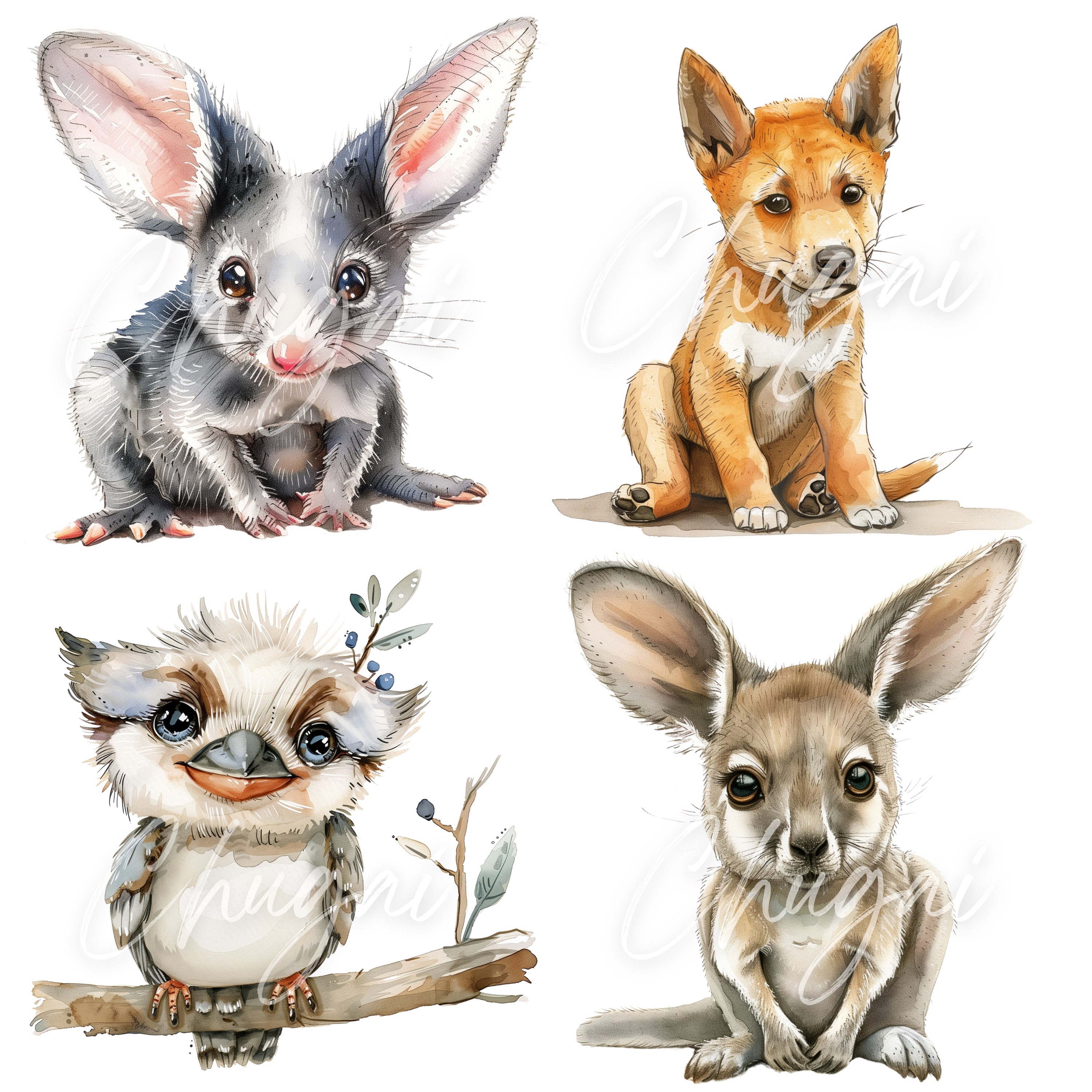 12 PNG Cute Australian Animal Clipart Digital Download Crafting Design ...