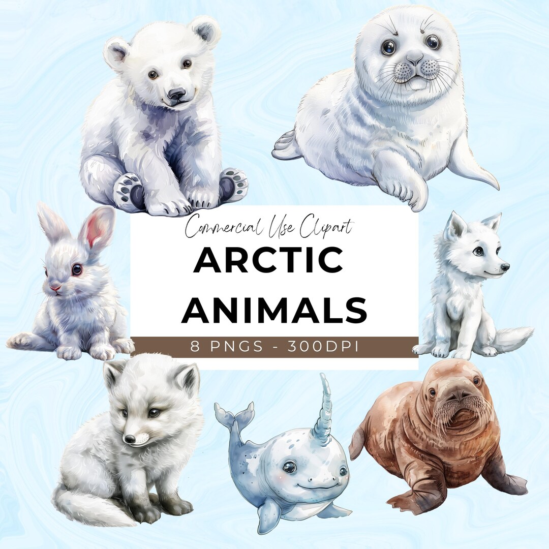 Arctic Animal Clipart - 8 PNG - Digital Download - Crafting Design ...
