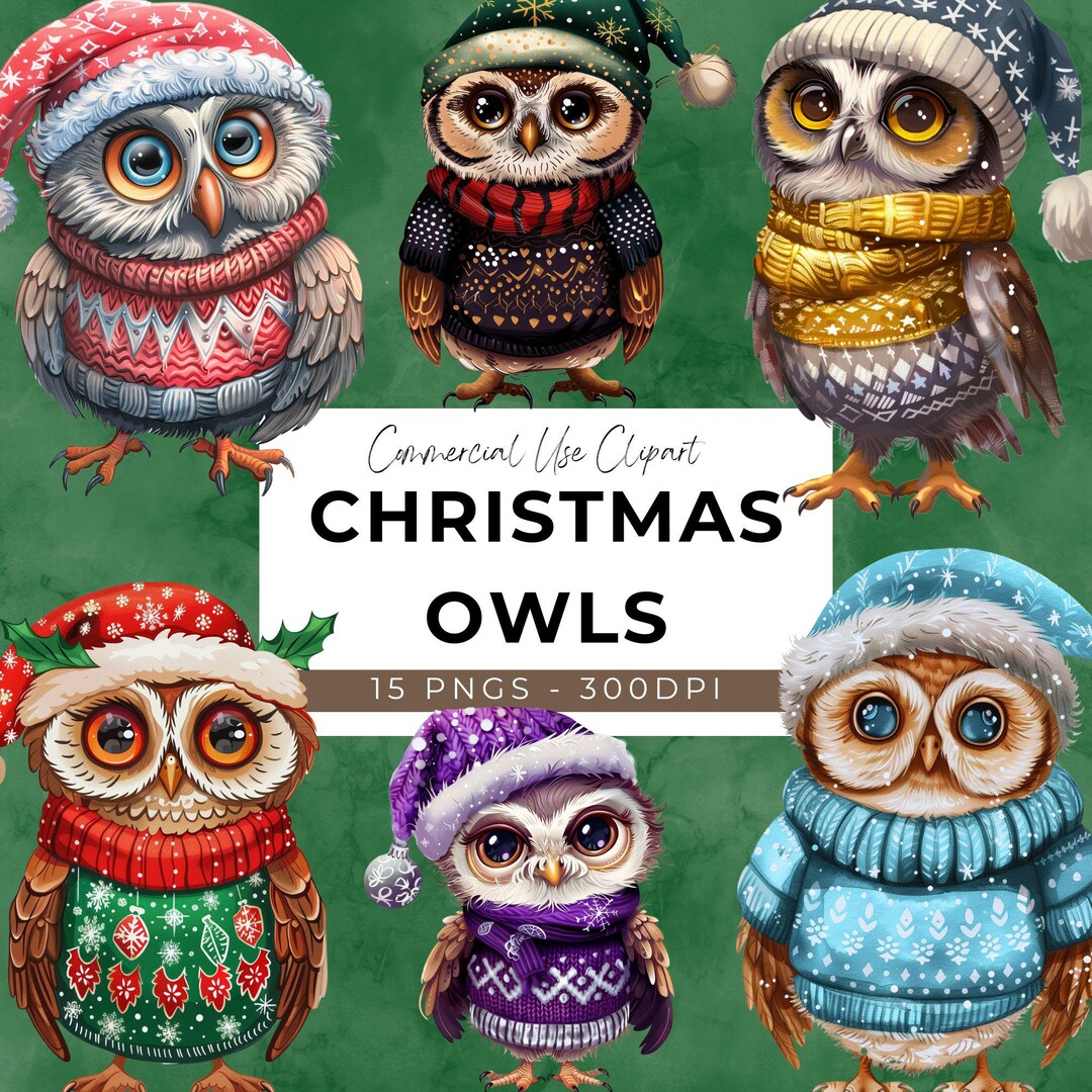 Christmas Owls Clipart - 15 Transparent PNG - Instant Download - Owl ...