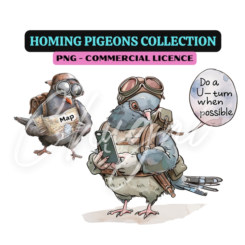 10 PNG - Funny Homing Pigeons - Transparent - Digital Download - Design ...