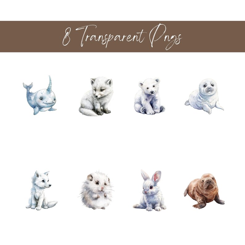 Arctic Animal Clipart 8 PNG Digital Download Crafting Design Arctic Fox ...