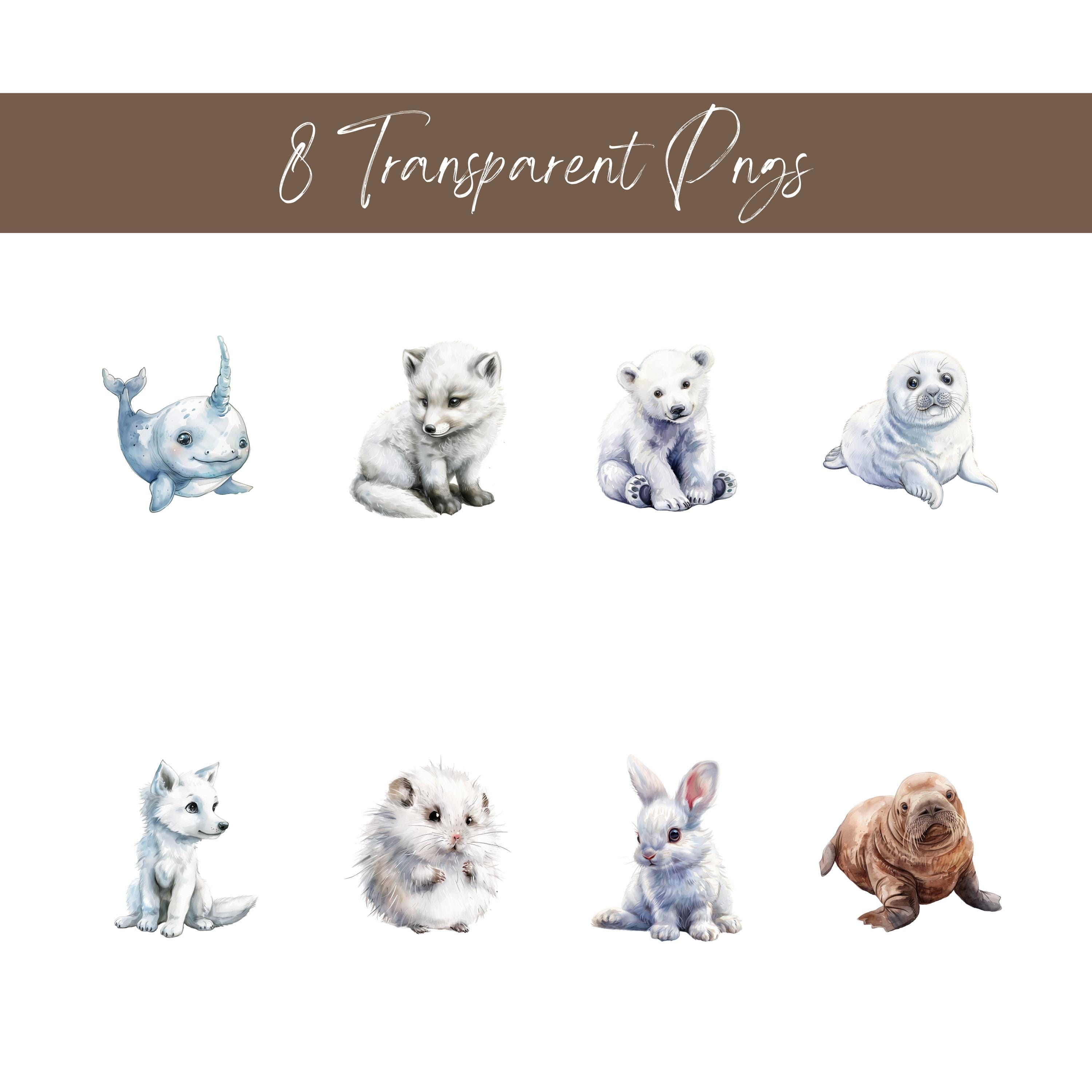 Arctic Animal Clipart - 8 PNG - Digital Download - Crafting Design ...