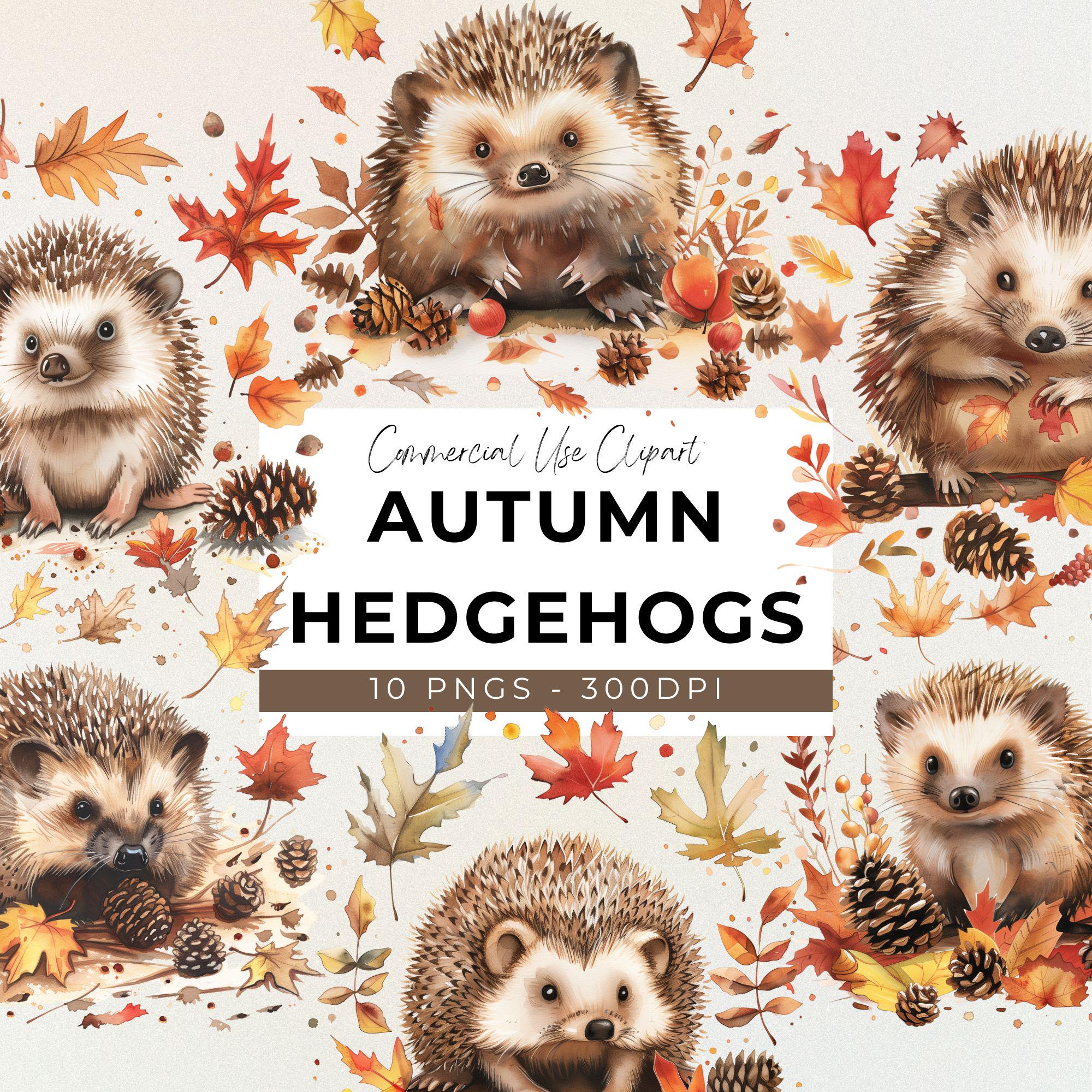 Autumn Hedgehog Clipart 10 Transparent PNG Instant Download Autumn ...