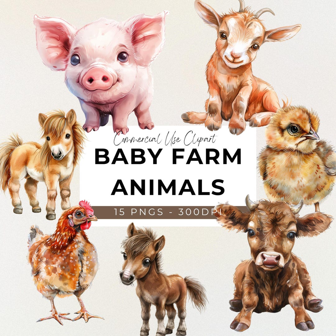 15 PNG - Baby Farm Animal Clipart - Transparent - Digital Download ...