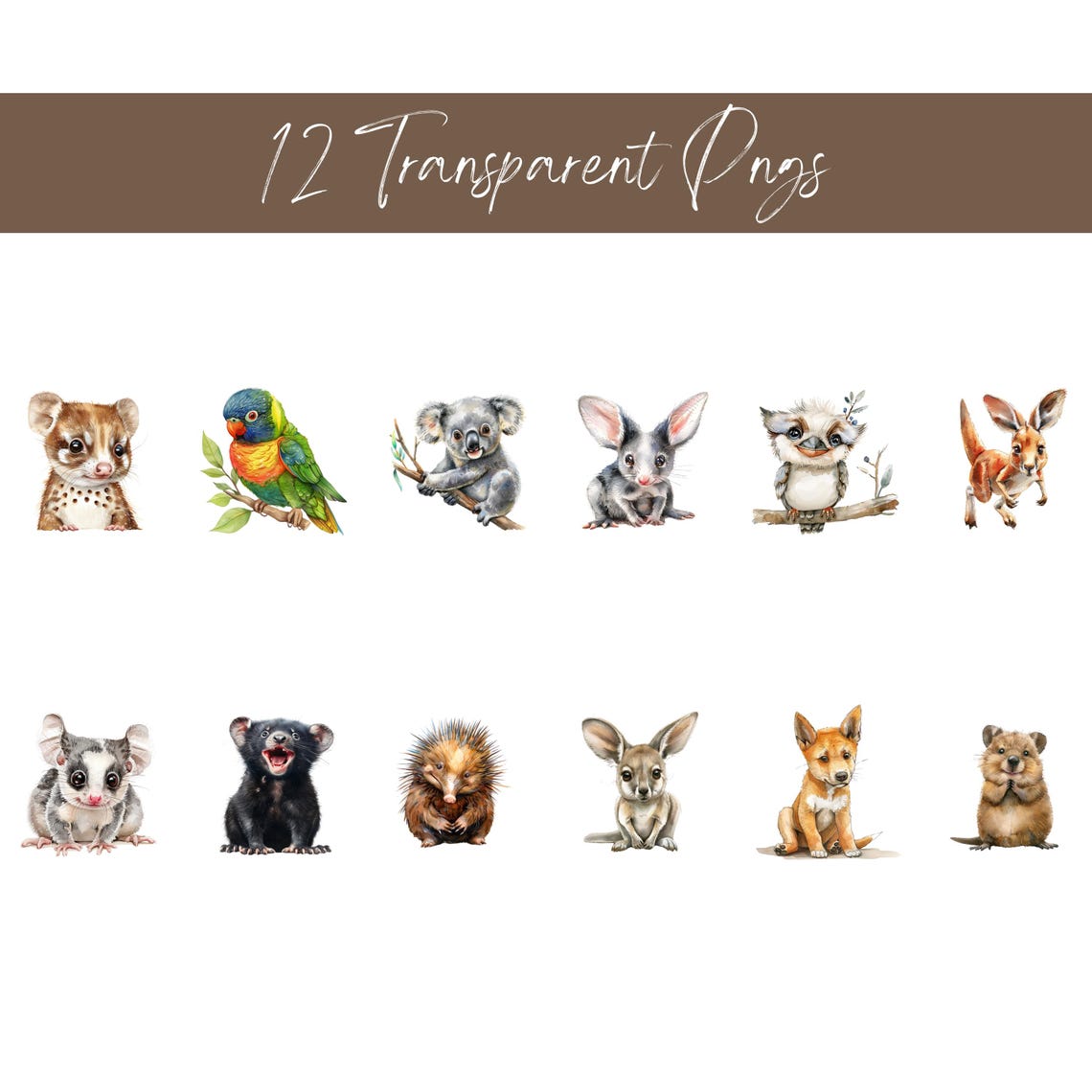 Cute Australian Animal Clipart - 12 PNG - Digital Download - Crafting ...