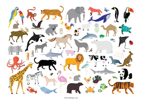 Different Types Of Animals In The World